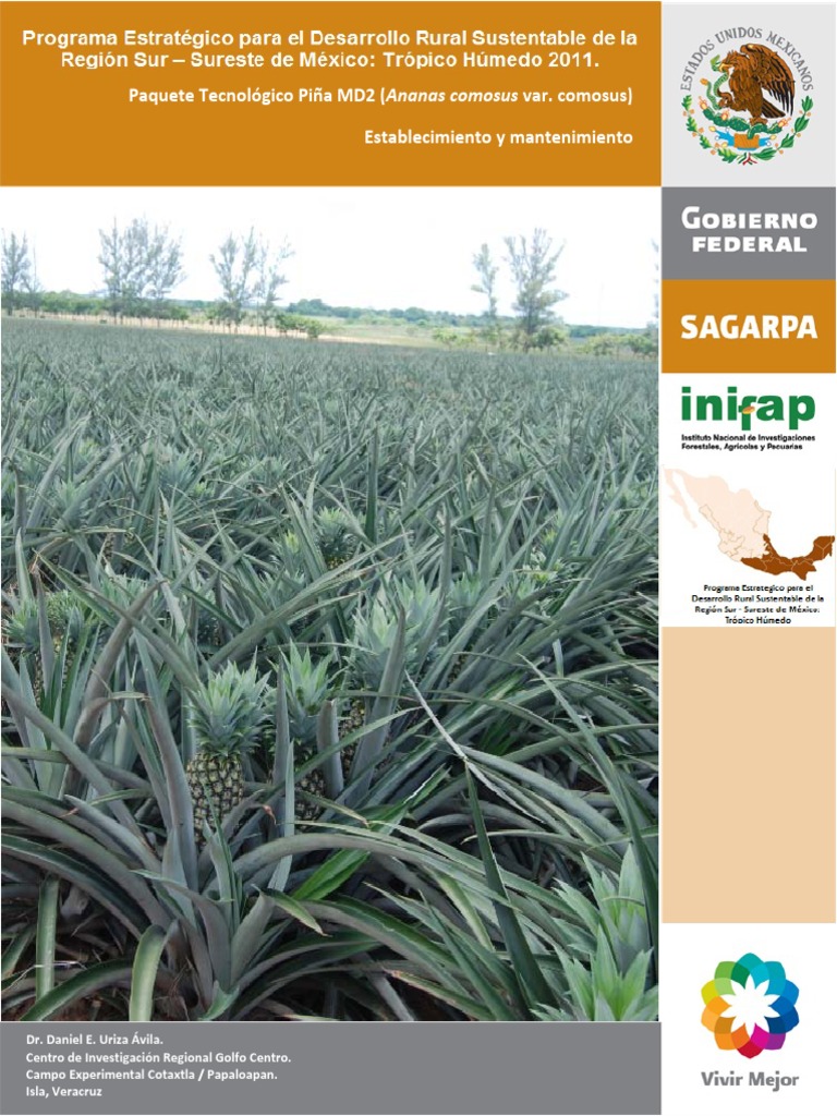 Paquete Tecnológico Piña MD2 | PDF | Piña | Fertilizante