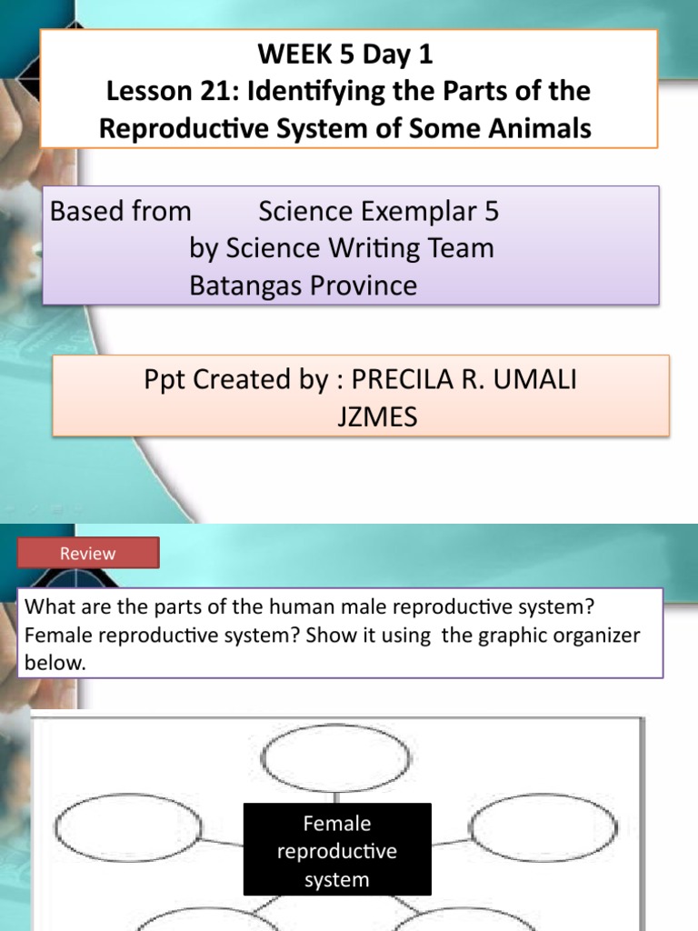 Sci Q2WK5 Day 1-5 | PDF | Reproductive System | Sexual Reproduction