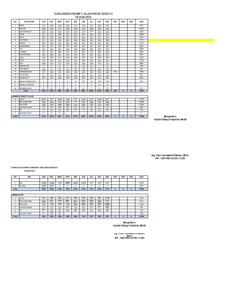Rekap Kunjungan 2022 | PDF