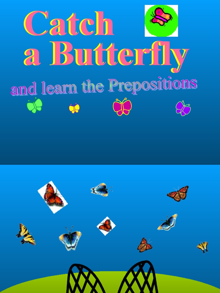 Catch A Butterfly Preposition | PDF