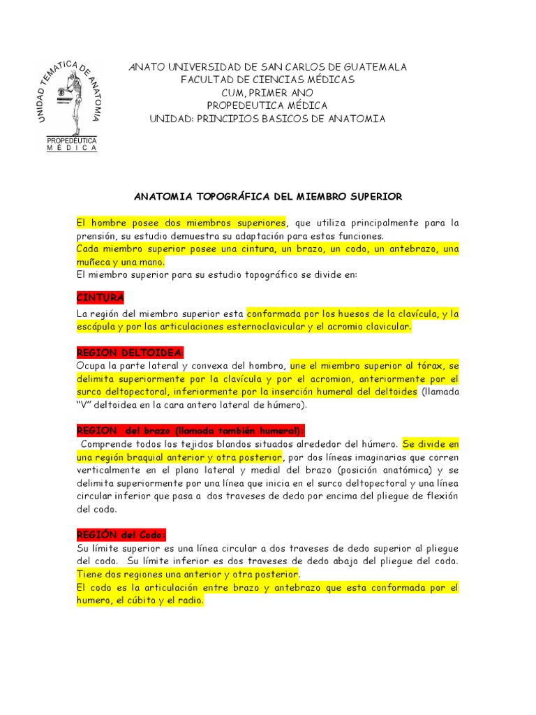 DOCUMENTO DE APOYO Miembros | PDF | Codo | Mano