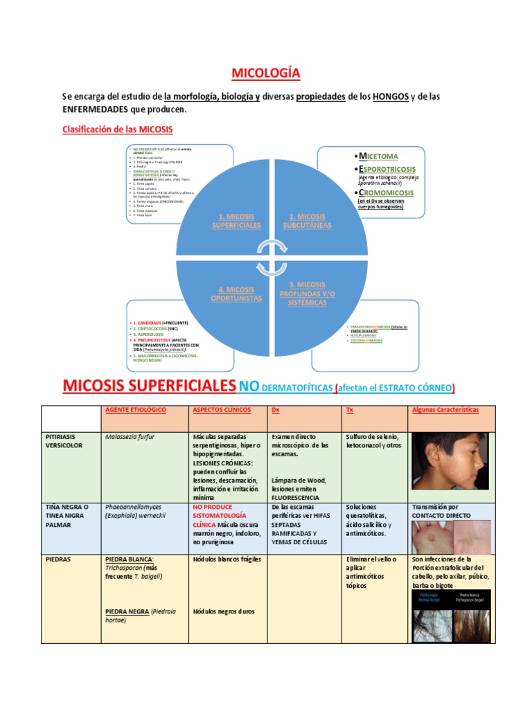 MICOSIS | PDF | Dermatología | Ciencias de la Salud