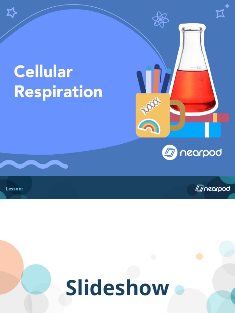 Overview of Cellular Respiration | PDF | Cellular Respiration | Diet ...