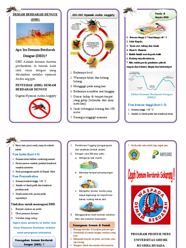 Leaflet DBD | PDF