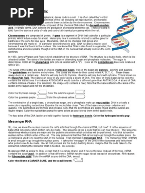 Dna Coloring Worksheet Pdf File:DNA Polymerization.pdf Wikimedia