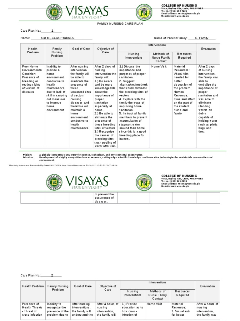 Family Nursing Care Plan CHN Casas | PDF | Nursing | Hypertension