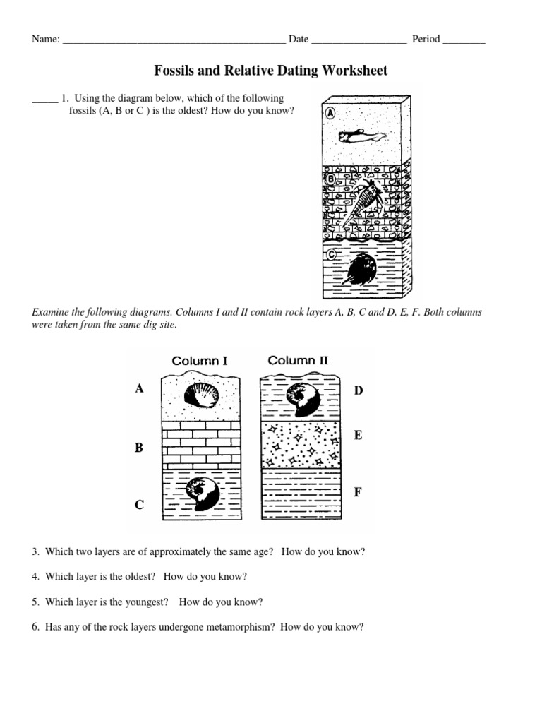 Fossils Worksheet | PDF | Science & Mathematics