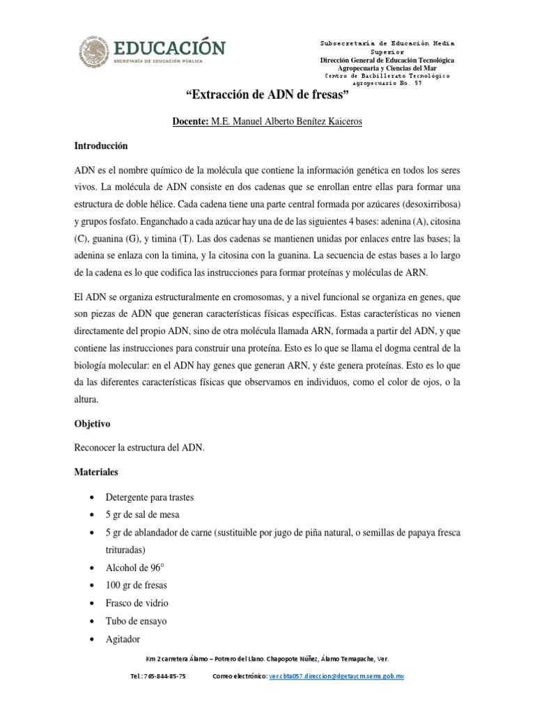 Práctica-Extracción de ADN | PDF | Adn | Rna