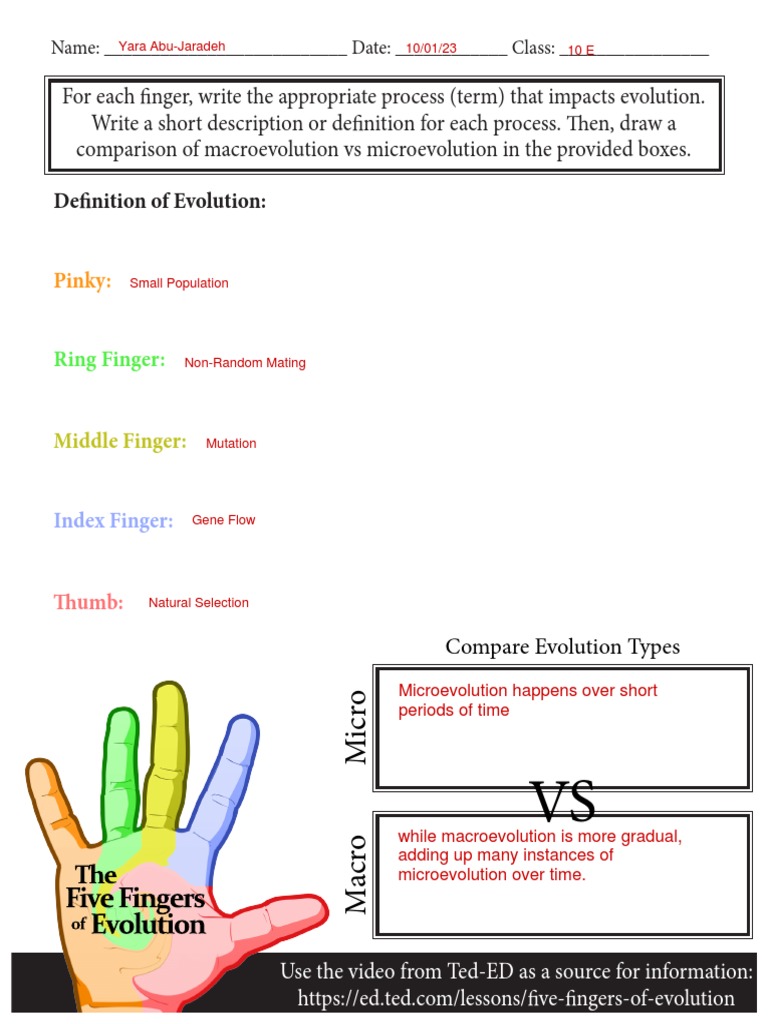 Fingers of Evolution Sheet - 2023 | PDF | Evolution | Natural Selection