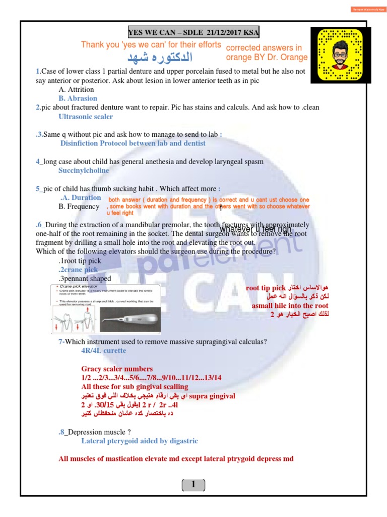 Yes We Can MARCH 8 Corrected by DR - Orange | PDF | Health Sciences ...