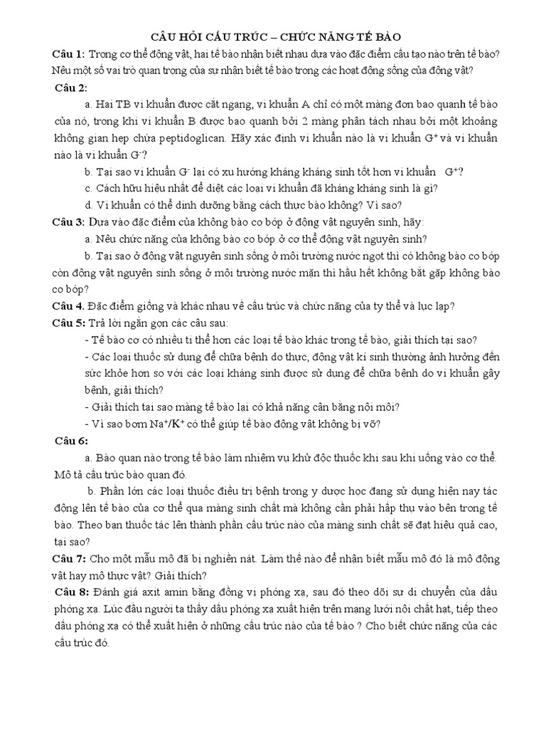 FILE 20221116 164723 PajJL | PDF