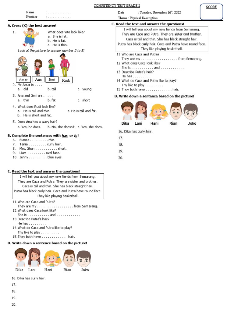 COMPETENCY TEST Grade 2 Physical Description | PDF