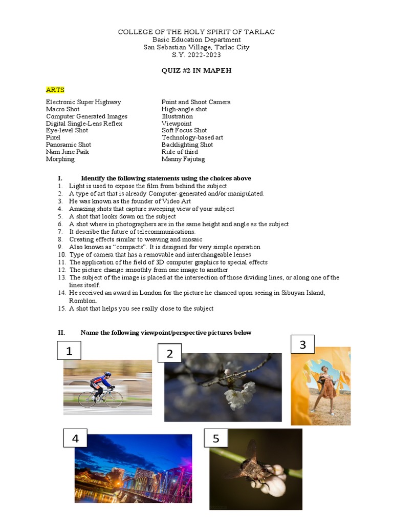 MAPEH Quiz: Arts & Health Concepts | PDF | Birth Control | Human ...