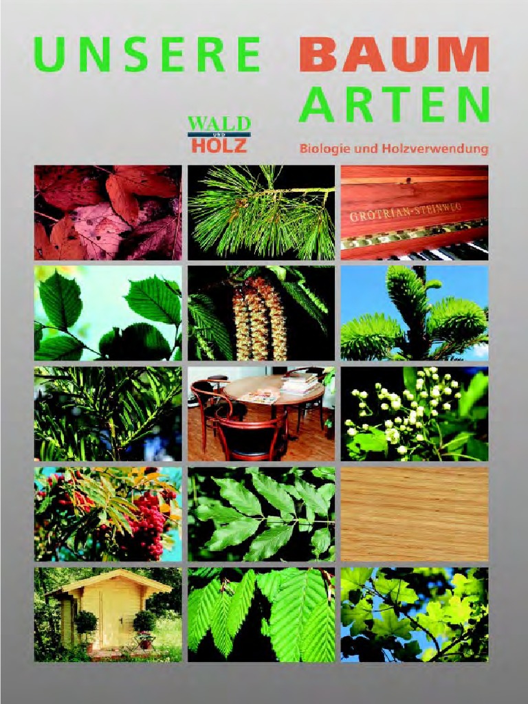 Unsere Baumarten | PDF