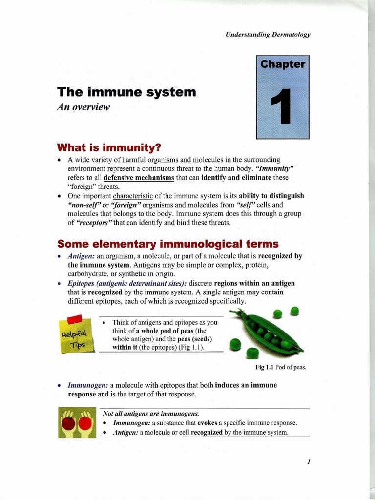 Immunity DR Ahmed Kamel | PDF | Immune System | T Cell