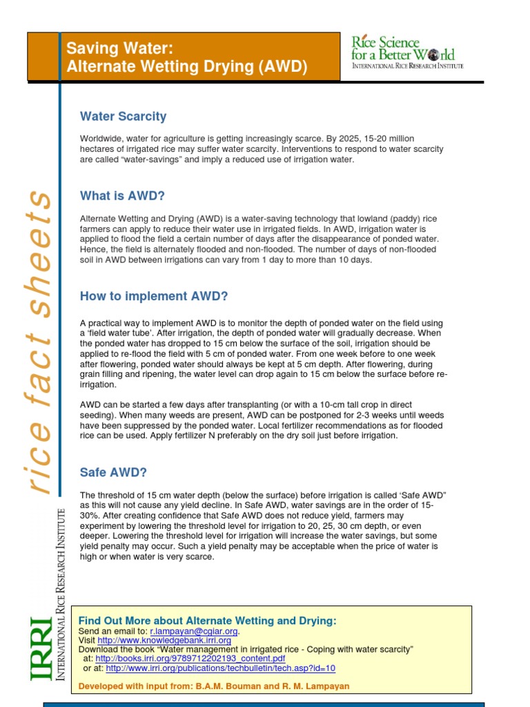 AWD Training | PDF | Irrigation | Rice