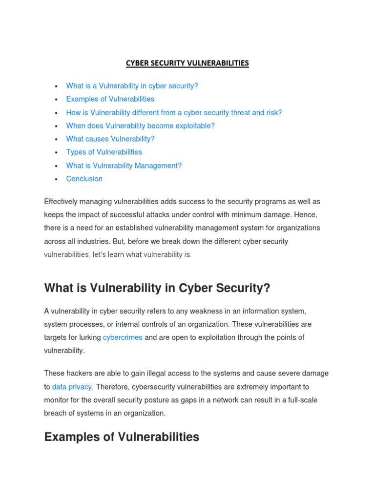 Cyber Security Vulnerabilities | PDF | Security | Computer Security