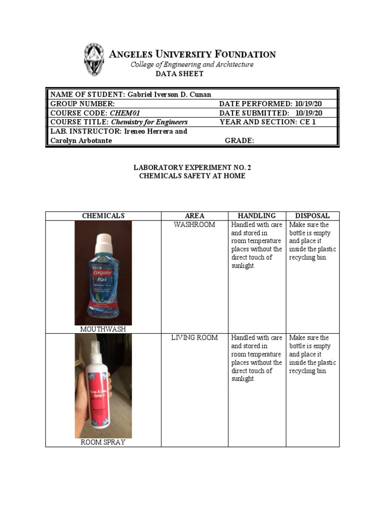 Activity 2 Data Sheet - Chemicals Safety at Home | PDF | Laboratories | Materials