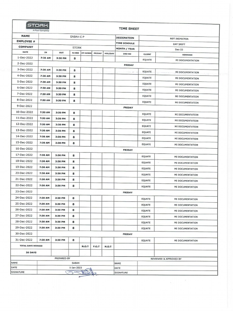 Ajay Time Sheet | PDF