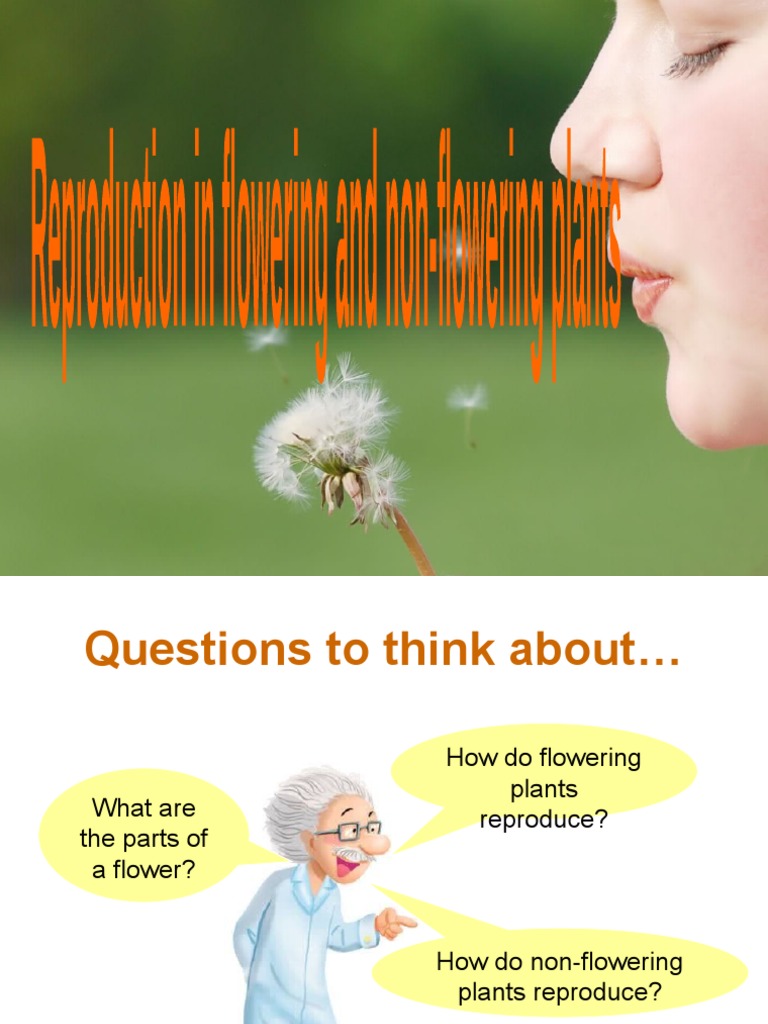 Q2 SCI - Week 5-Modes of Reproduction in Flowering and Non Flowering ...