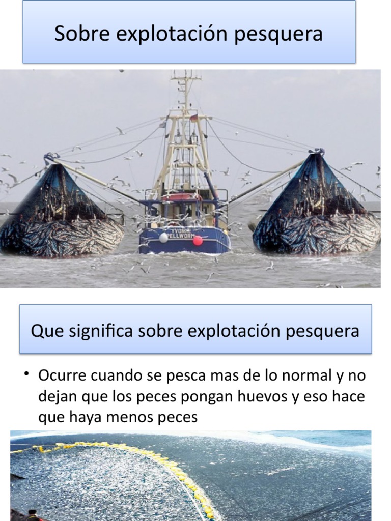 Sobre Explotacion Pesquera | PDF