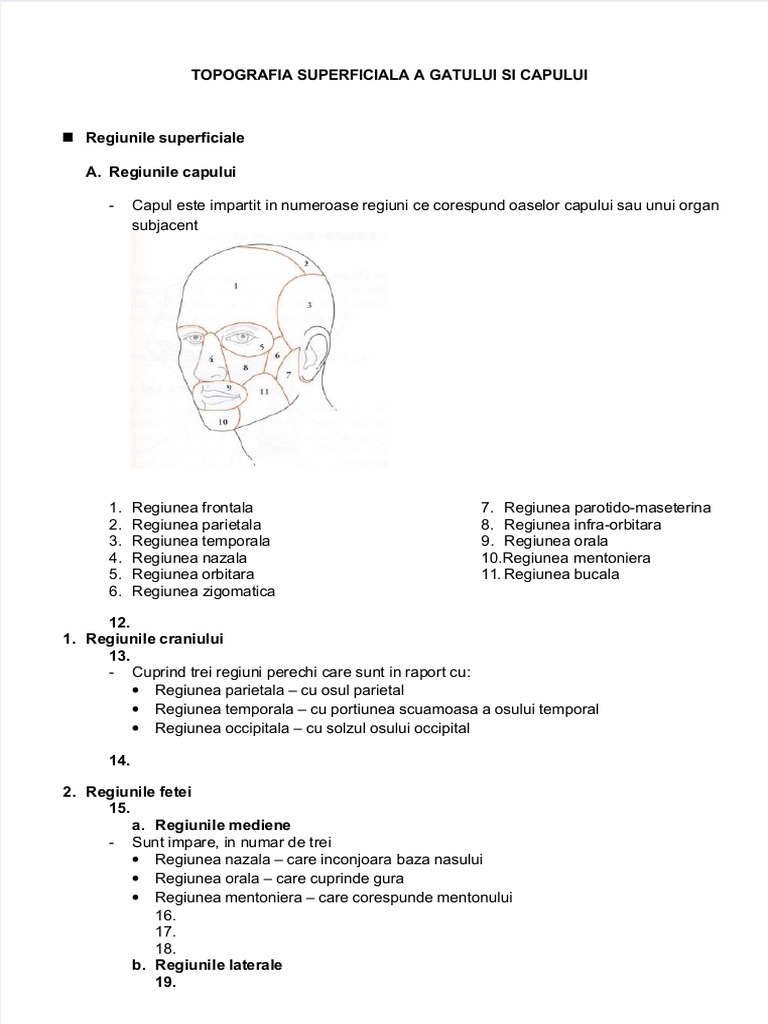 Kamina Anatomie Cap Si Gat | PDF