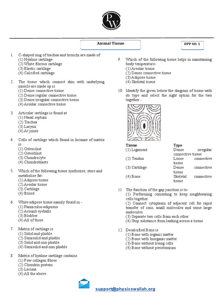 Animal Tissue Practice Sheet 01 | PDF | Epithelium | Tissue (Biology)