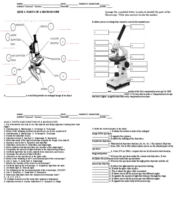 ACTIVITY 1 Microscope | PDF | Microscope | Microscopy