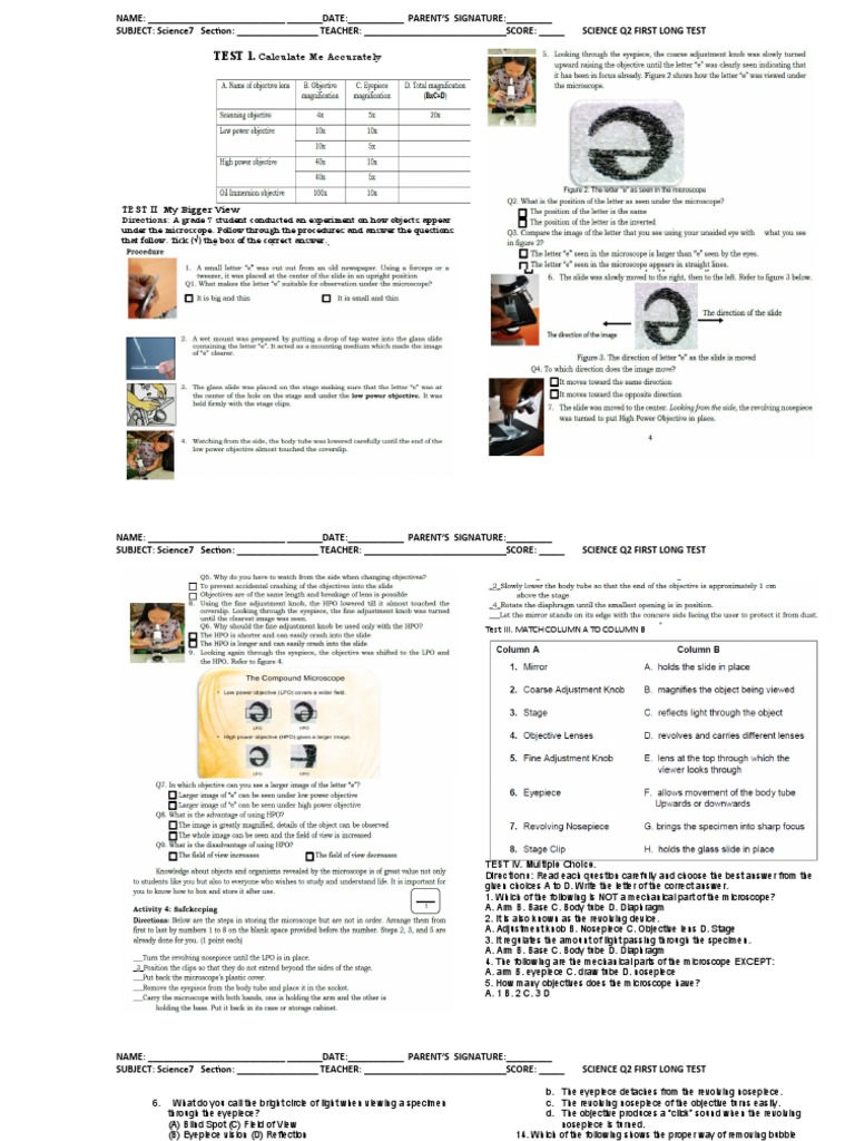 Microscope Proficiency Test for Grade 7 | PDF | Microscopy | Glass ...