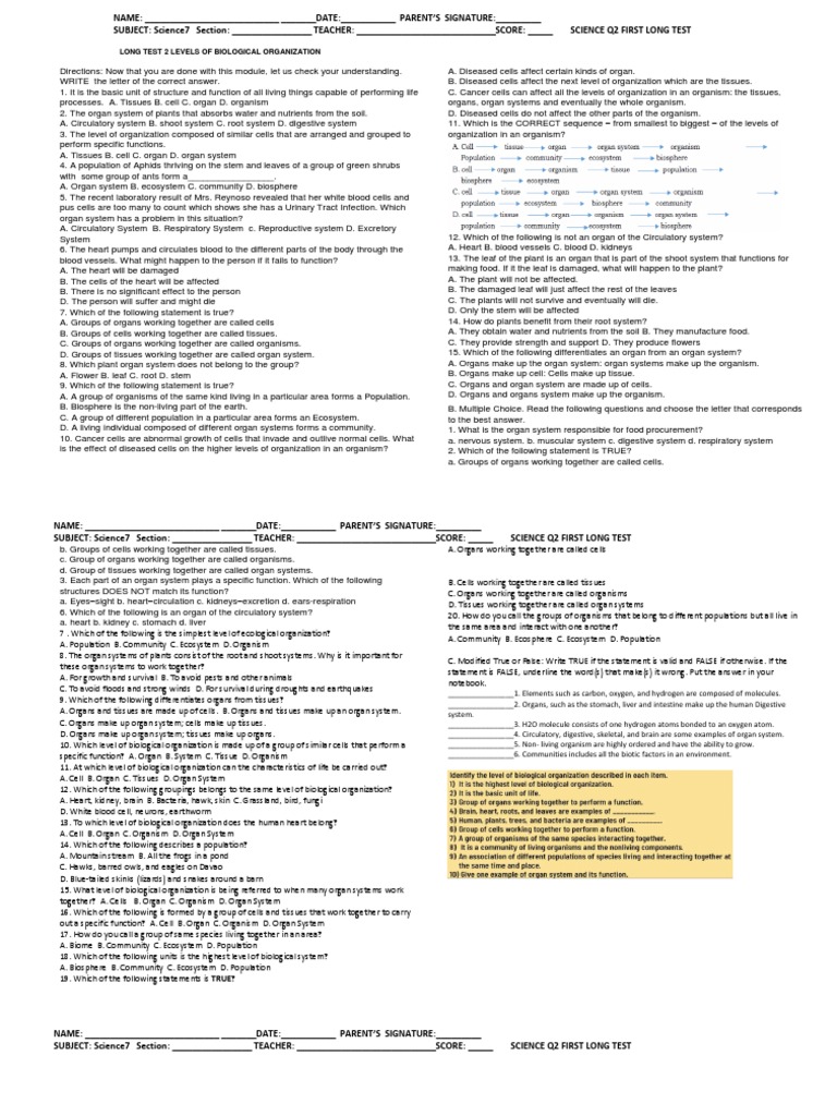 Levels of Biological Organization Quiz: Assessing Understanding of ...