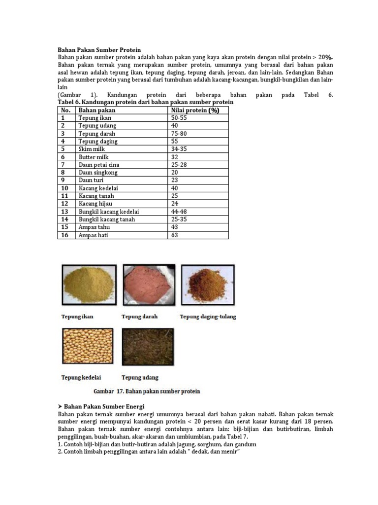 Modul Dasar Pakan Ternak Semester 1.2 | PDF