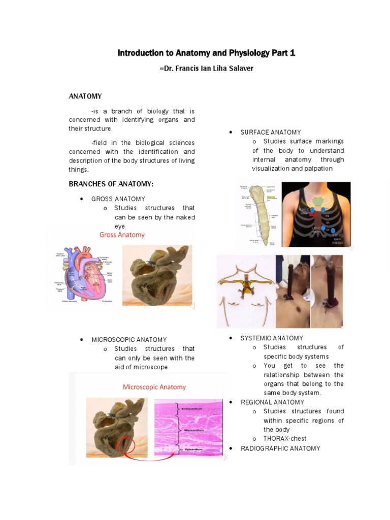 Introduction To Anatomy and Physiology Part 1 | PDF | Human Body | Anatomy