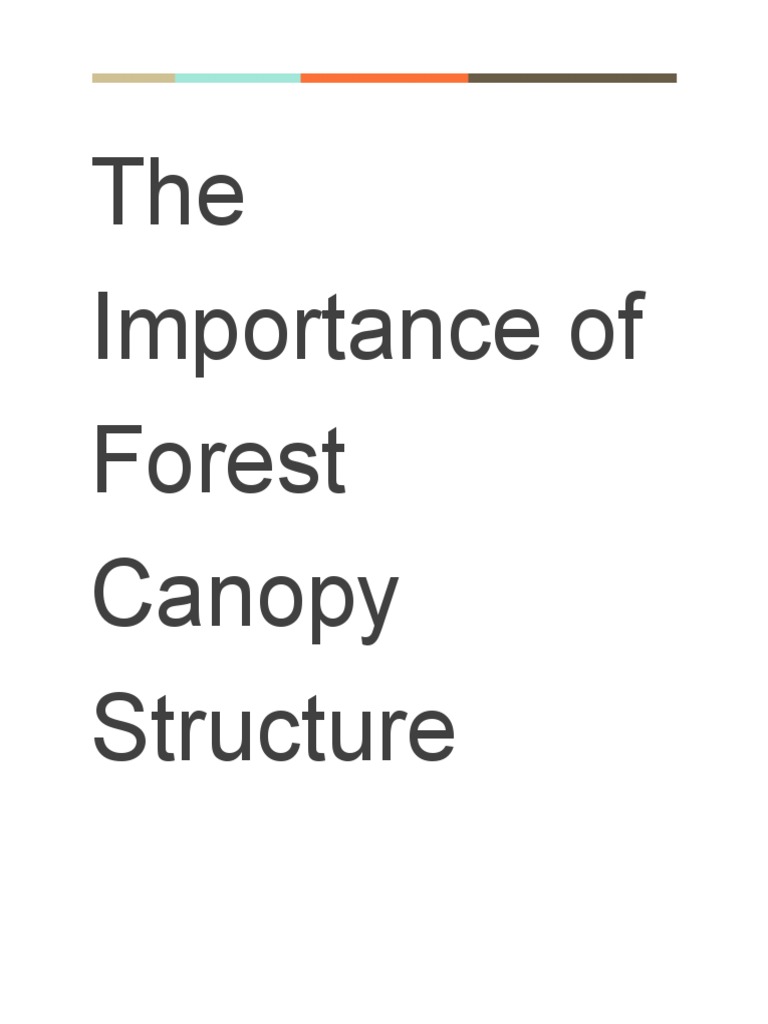 Project Proposal | PDF | Canopy (Biology) | Forests