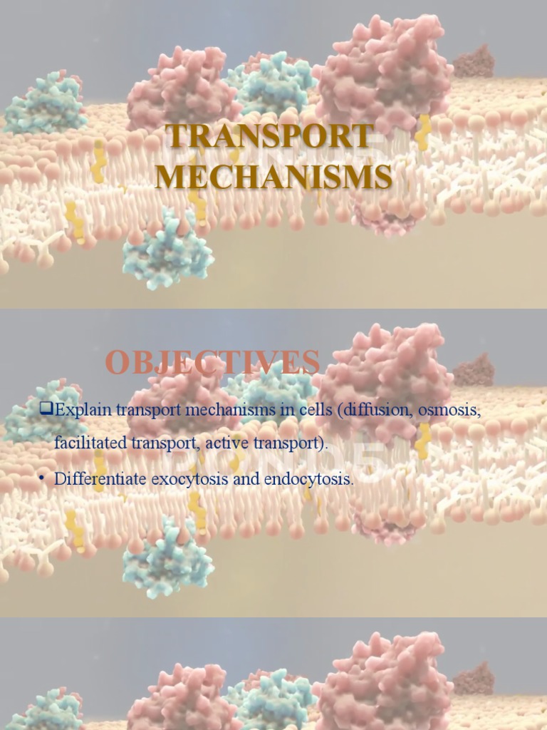 Cell Membrane Transport Mechanisms | PDF | Cell Membrane | Osmosis