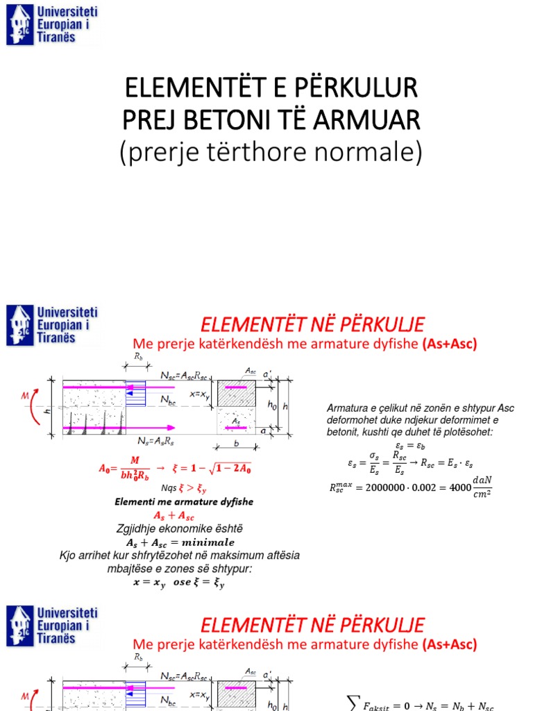 LEKSION 3 - ELEMENTET T-Je NE PERKULJE PRERJET E PJERRETA | PDF