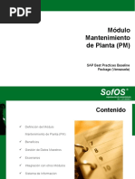 Guía SAP IW38 para Órdenes de Mantenimiento | PDF | Informática