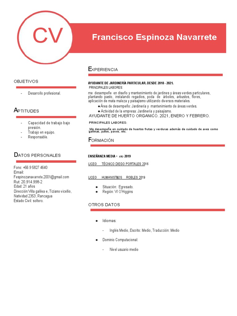 CV Francisco Espinoza - PDF Bueno | PDF