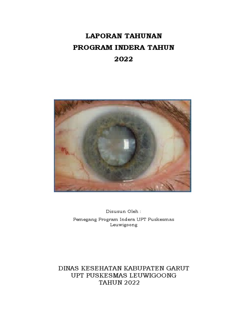 Laporan Tahunan Program Indera Tahun 2022 | PDF
