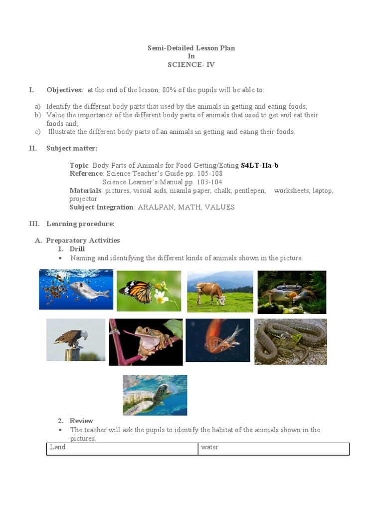 Animal Body Parts for Grade 4 | PDF | Tooth | Mouth