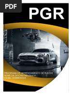 Modelo de PGR Pronto e Completo | PDF | Avaliação de risco | Química
