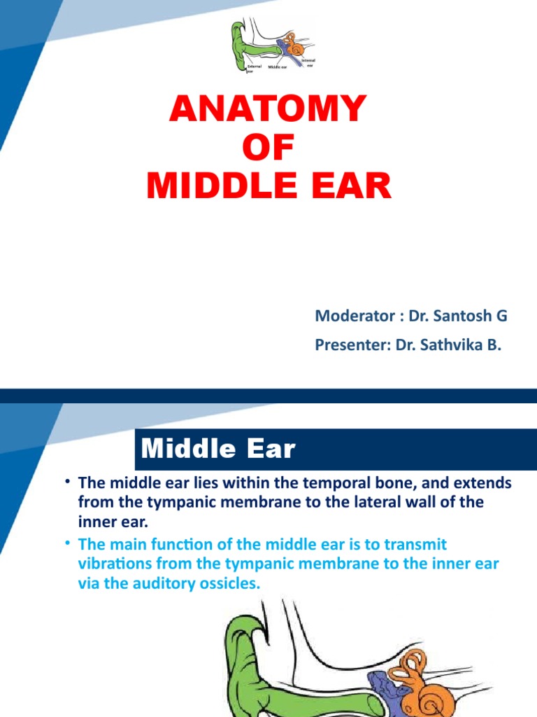 Middle Ear 2 | PDF | Ear | Otorhinolaryngology