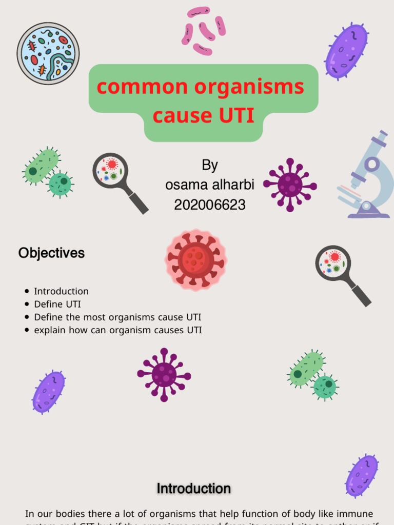Common Organisms Cause UTI | PDF