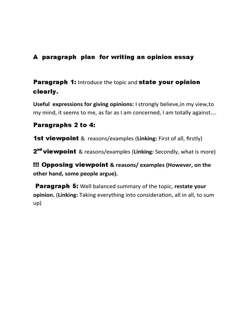 A Paragraph Plan For Writing An Opinion Essay | PDF