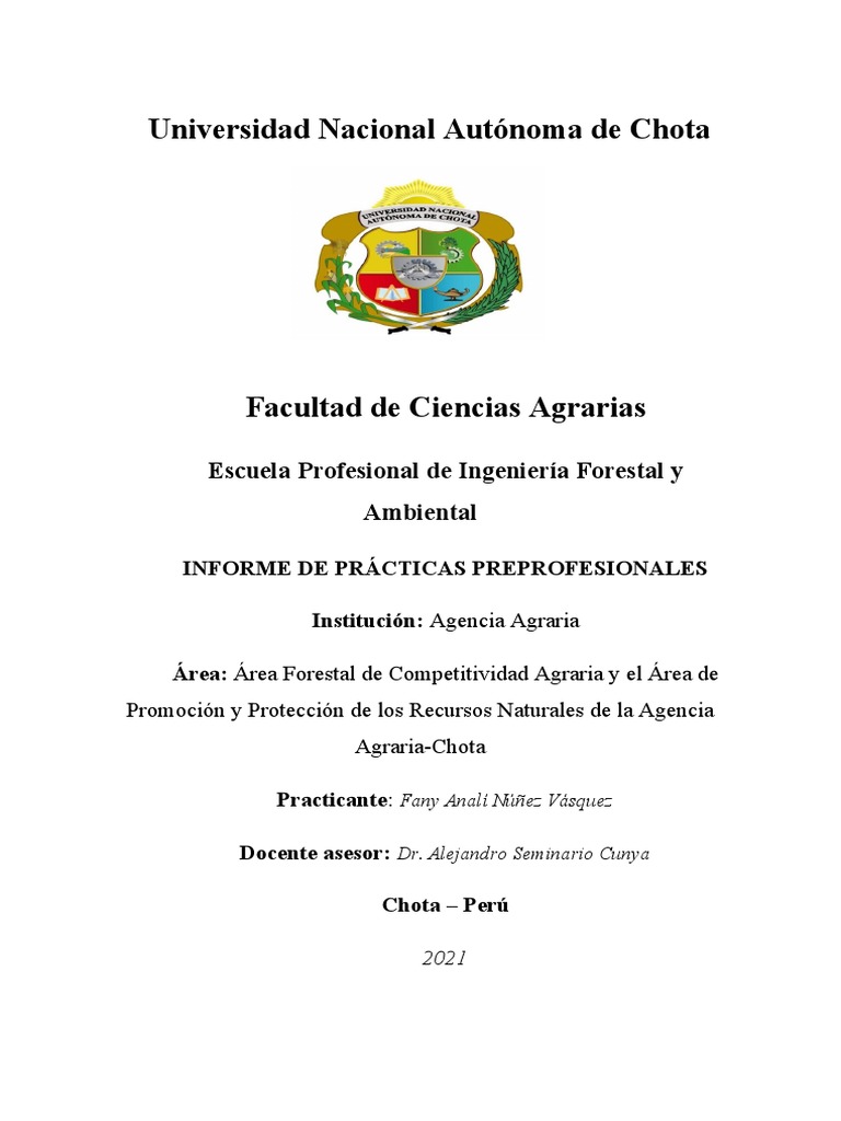 Informe de Practicas Fany Anali Nuñez Corregido - Docx y | PDF ...