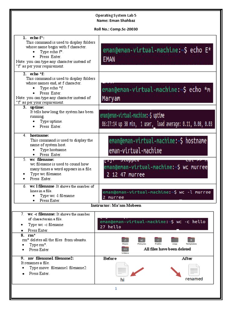 Essential Linux Commands Guide | PDF