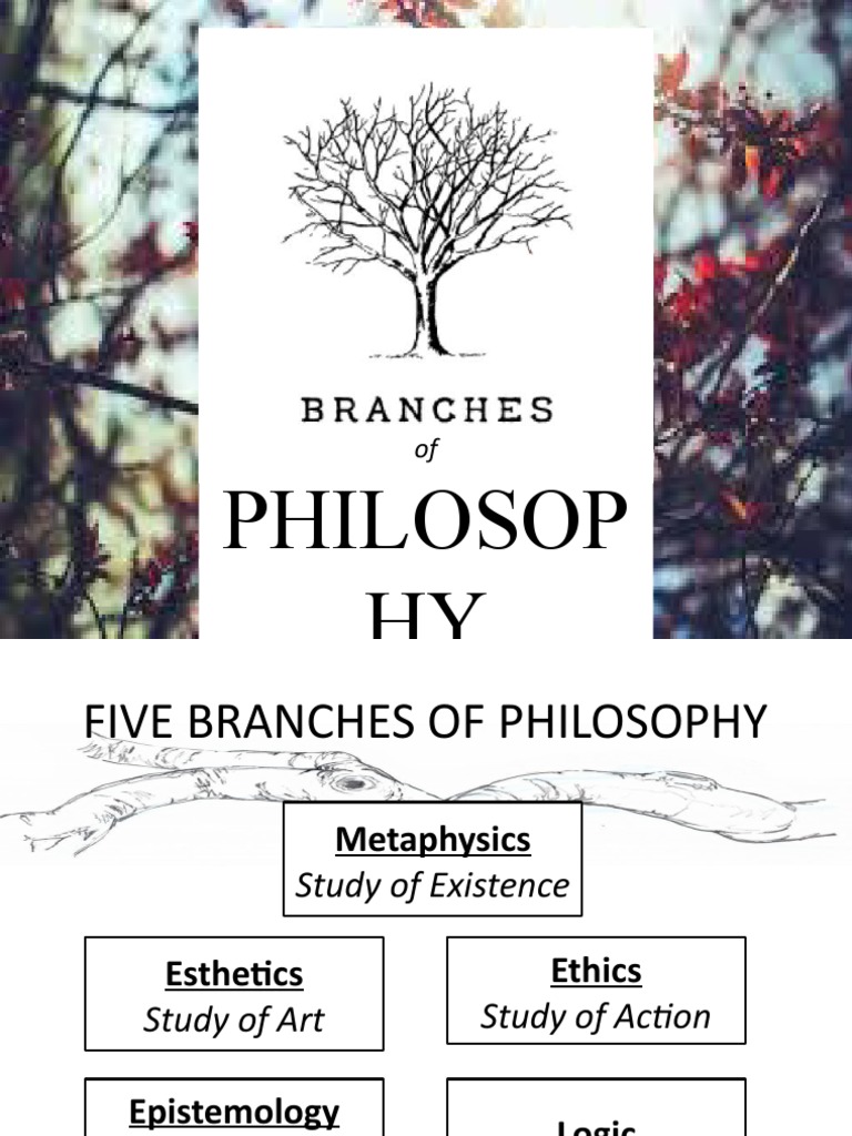 Overview of Philosophy's Five Branches | PDF | Metaphysics | Logic