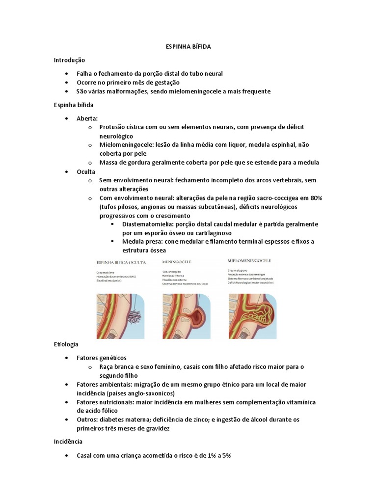 Espinha Bífida: Características, Etiologia, Manifestações e Abordagens ...
