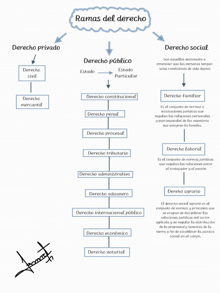 Ramas Del Derecho | PDF