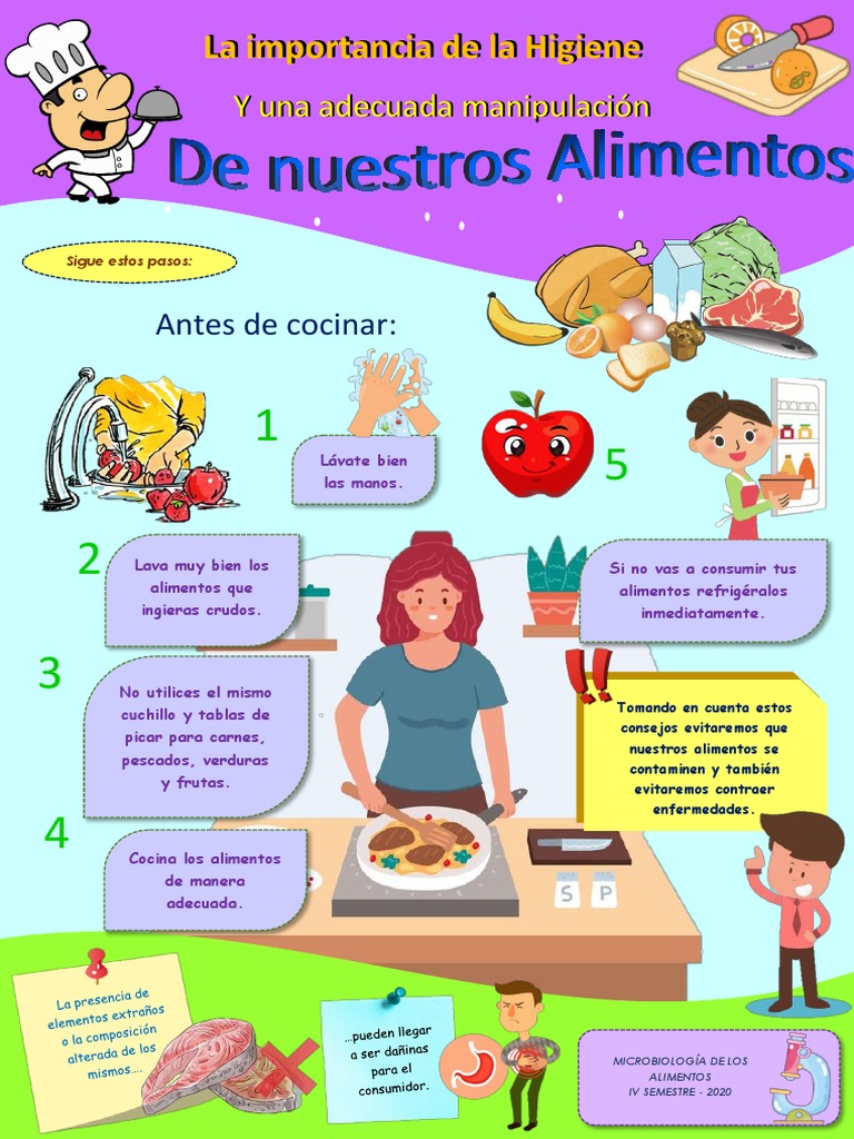 Infografía Higiene Y Manipulacion De Los Alimentos Pdf