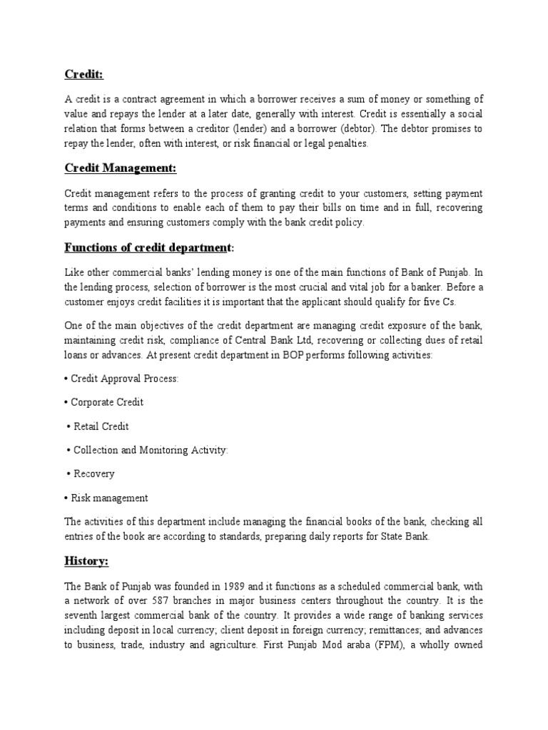 Credit Management Report | PDF | Loans | Finance & Money Management